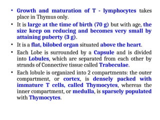 Primary and secondary lymphoid organs.ppt