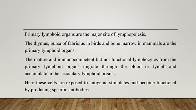 lymphoid organs. | PPT