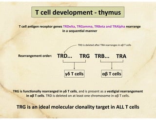 Lymphoid organs trafficking lymphoma 2021.pdf