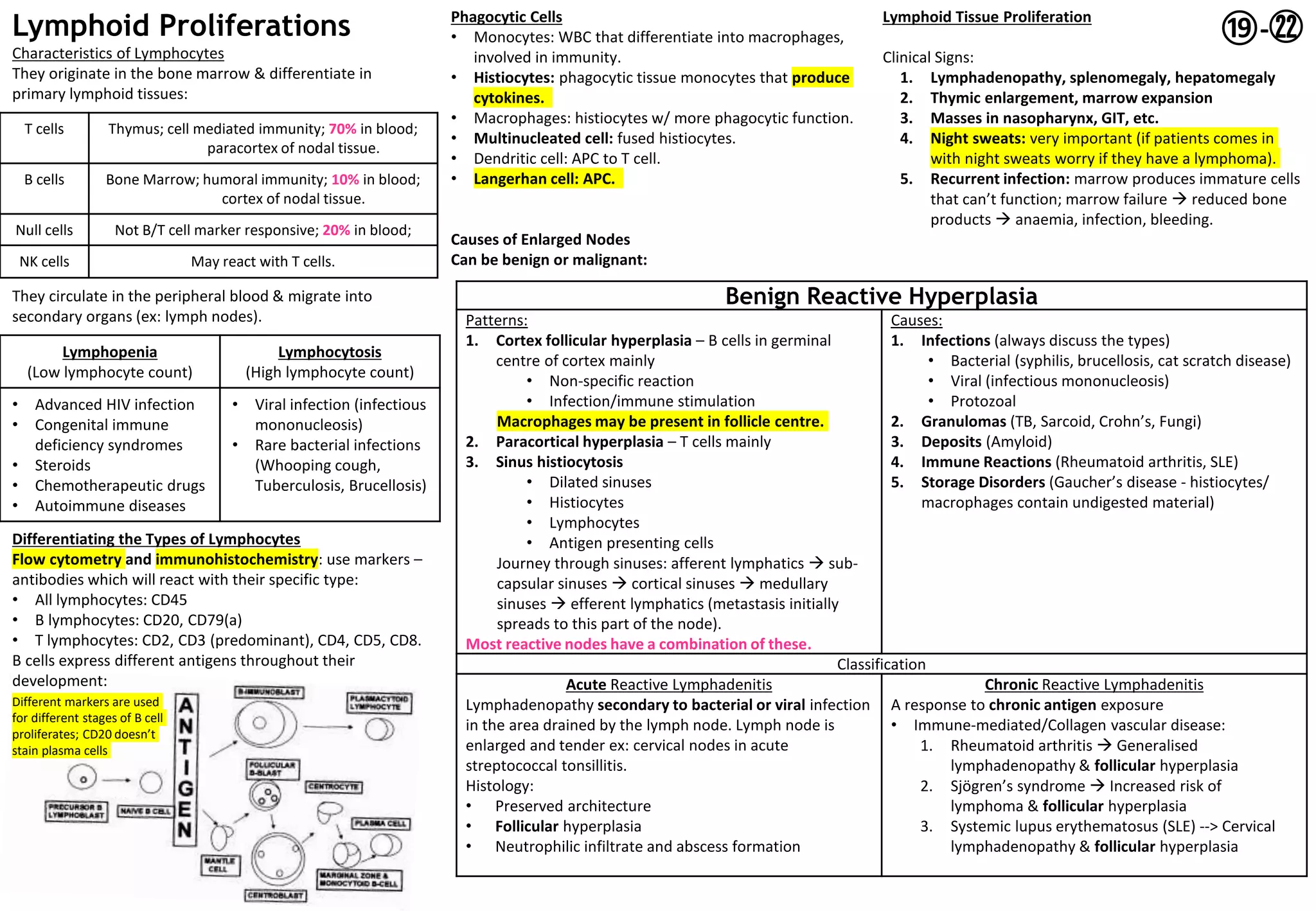 Lymphoid Proliferations.pptx