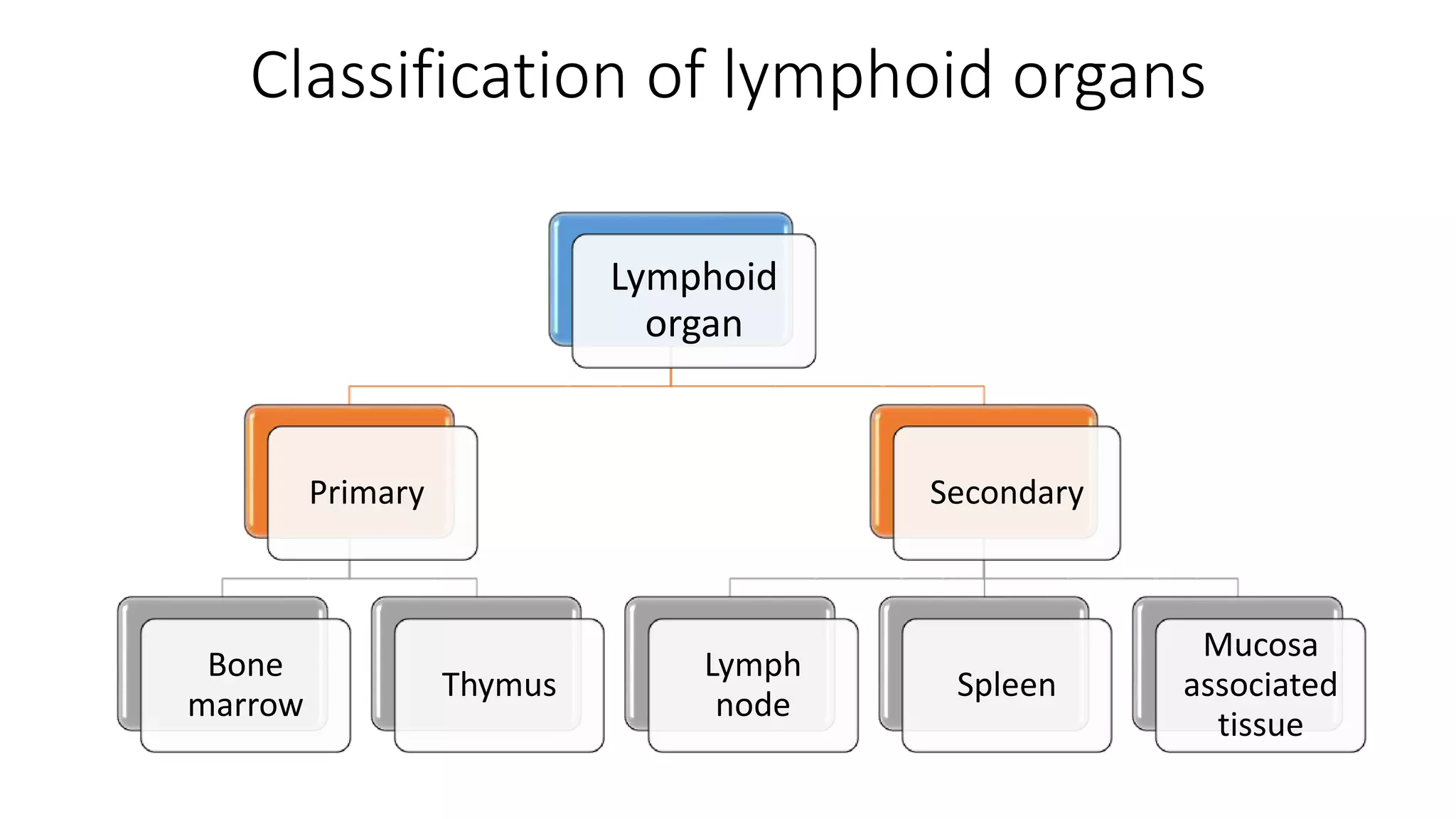 Lymphoid system and cytokines | PPTX