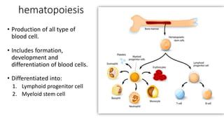 Lymphoid system and cytokines | PPTX