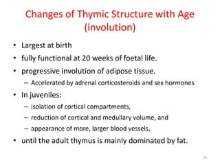 Lymphoid tissue | PPTX