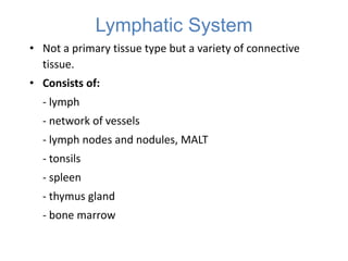 Lymphoid tissue | PPTX