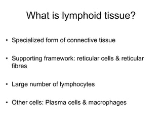 lymphoid_tissue.pdf