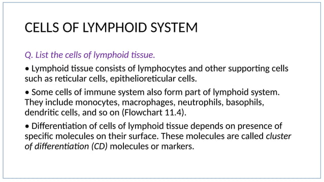 Lymphoid tissue 1st year histology mbbs.pptx