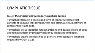 Lymphoid tissue 1st year histology mbbs.pptx
