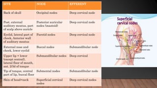 LYMPHOID TISSUES AND LYMPHATICS IN OROFACIAL REGION.pptx