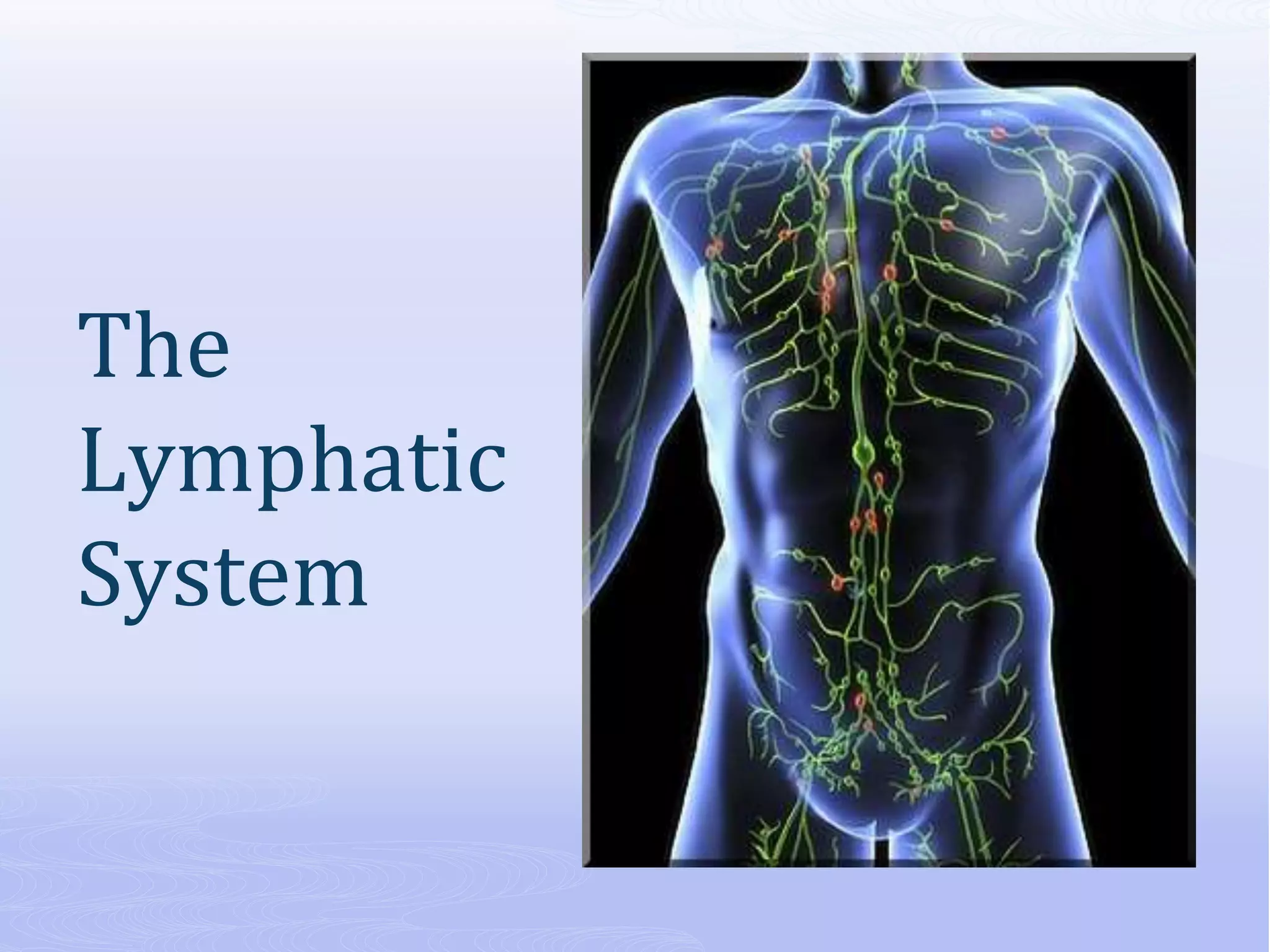 Lymphology | PPTX