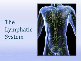 Lymphology | PPTX