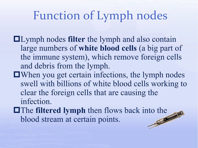 Lymphology | PPT