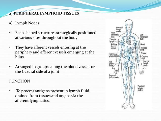 Lymphoma | PPTX