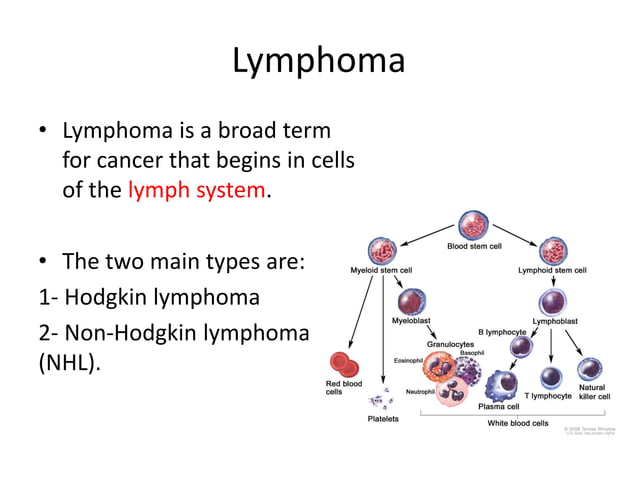 Lymphoma | PDF