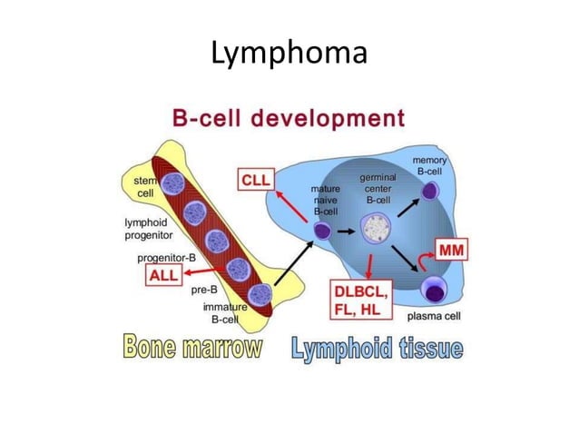 lymphoma and its treatment and nursing management.pptx