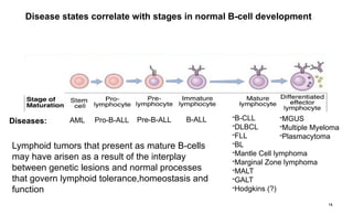Lymphoma.pptxggjbjjjjjjjjjjjjjjjjjjjjjbh | PPT