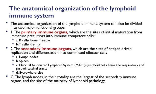 Lymphoma.pptxggjbjjjjjjjjjjjjjjjjjjjjjbh | PPT