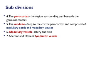 Lymphoma.pptxggjbjjjjjjjjjjjjjjjjjjjjjbh | PPT