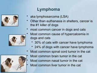 Lymphoma types and examination multiple mylar plasma cell lipid storage ...