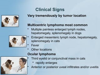 Lymphoma types and examination multiple mylar plasma cell lipid storage ...