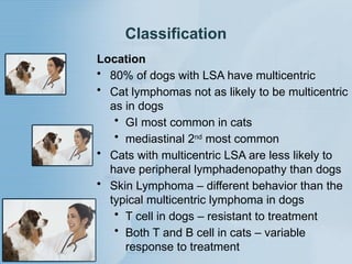 Lymphoma types and examination multiple mylar plasma cell lipid storage ...