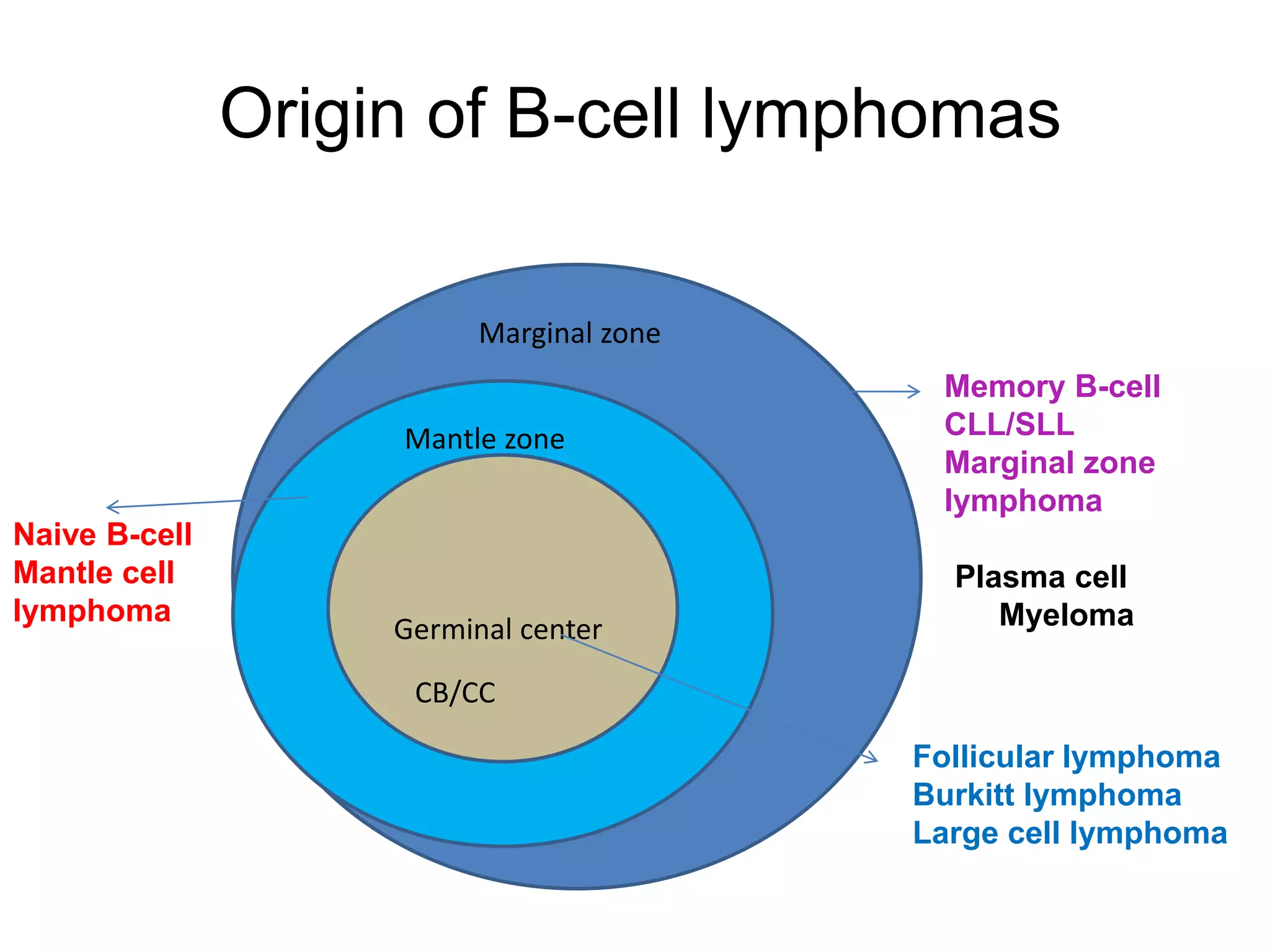 Lymphoma lecture(1) | PPTX
