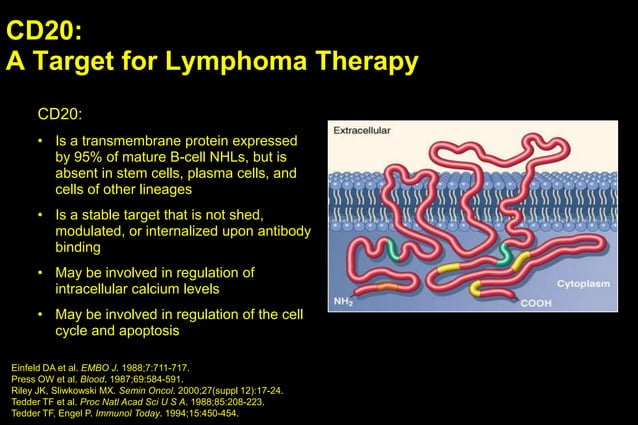 Lymphoma overview | PPT