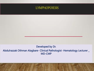 Lymphopoiesis-.ppt