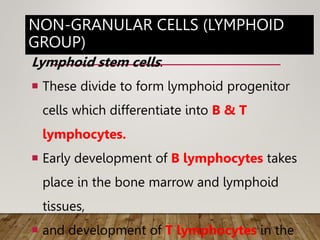 Lymphopoiesis-.ppt