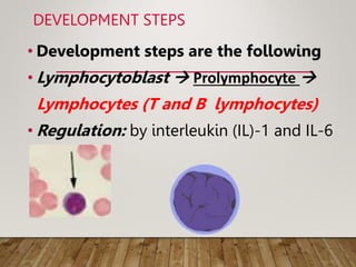 Lymphopoiesis-.ppt