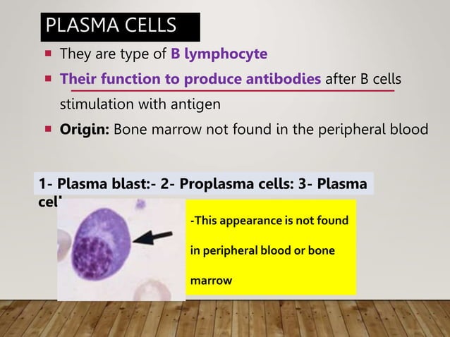 Lymphopoiesis-.ppt