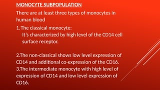 lymphopoiesis.p vptx | PPT
