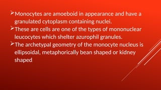 lymphopoiesis.p vptx | PPT