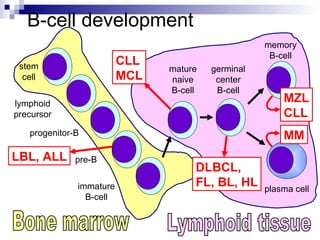 Lymphoproliferative disorders | PPT