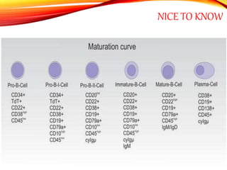 Lymphoreticular .pptx