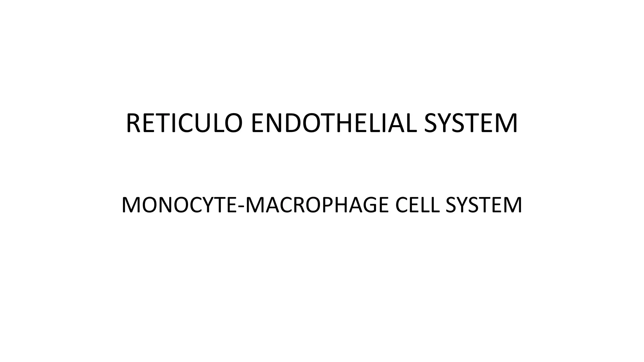 lymphoreticular system.pptx