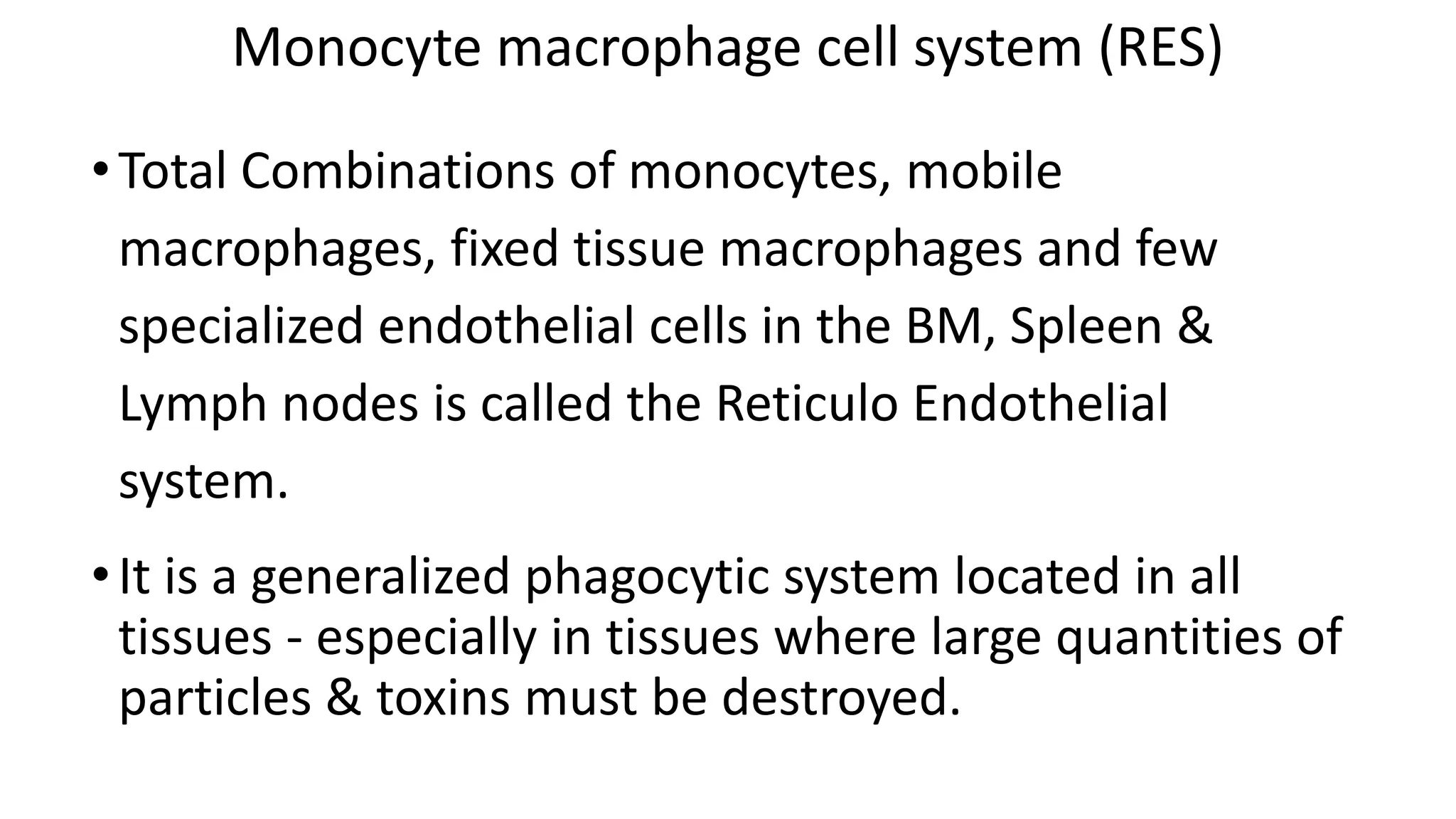 lymphoreticular system.pptx