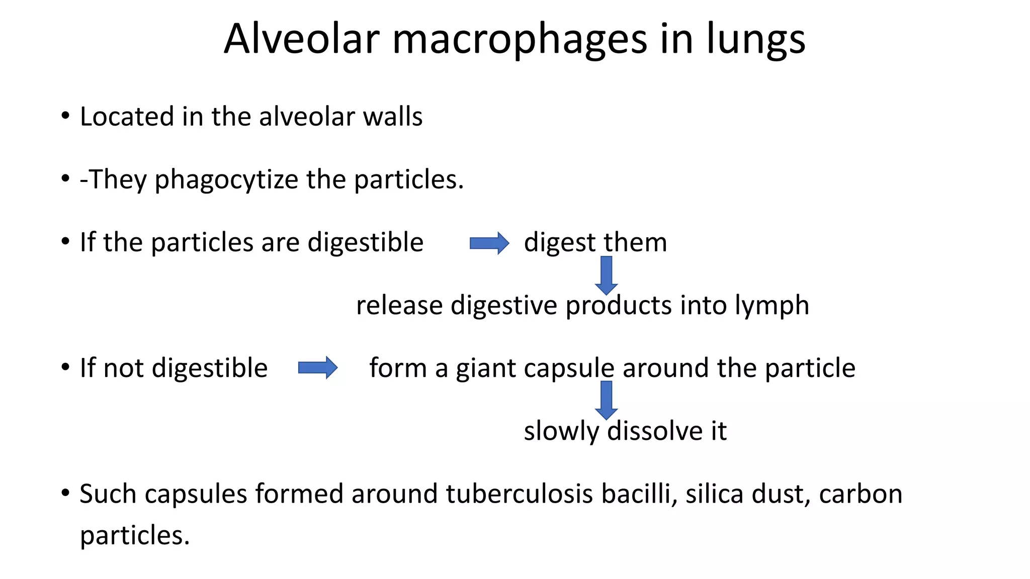 lymphoreticular system.pptx