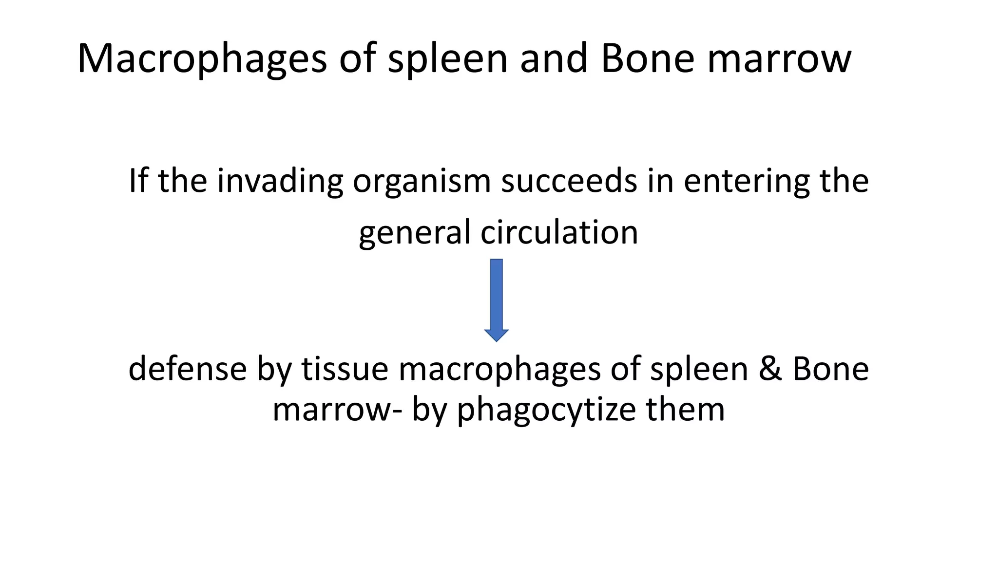 lymphoreticular system.pptx