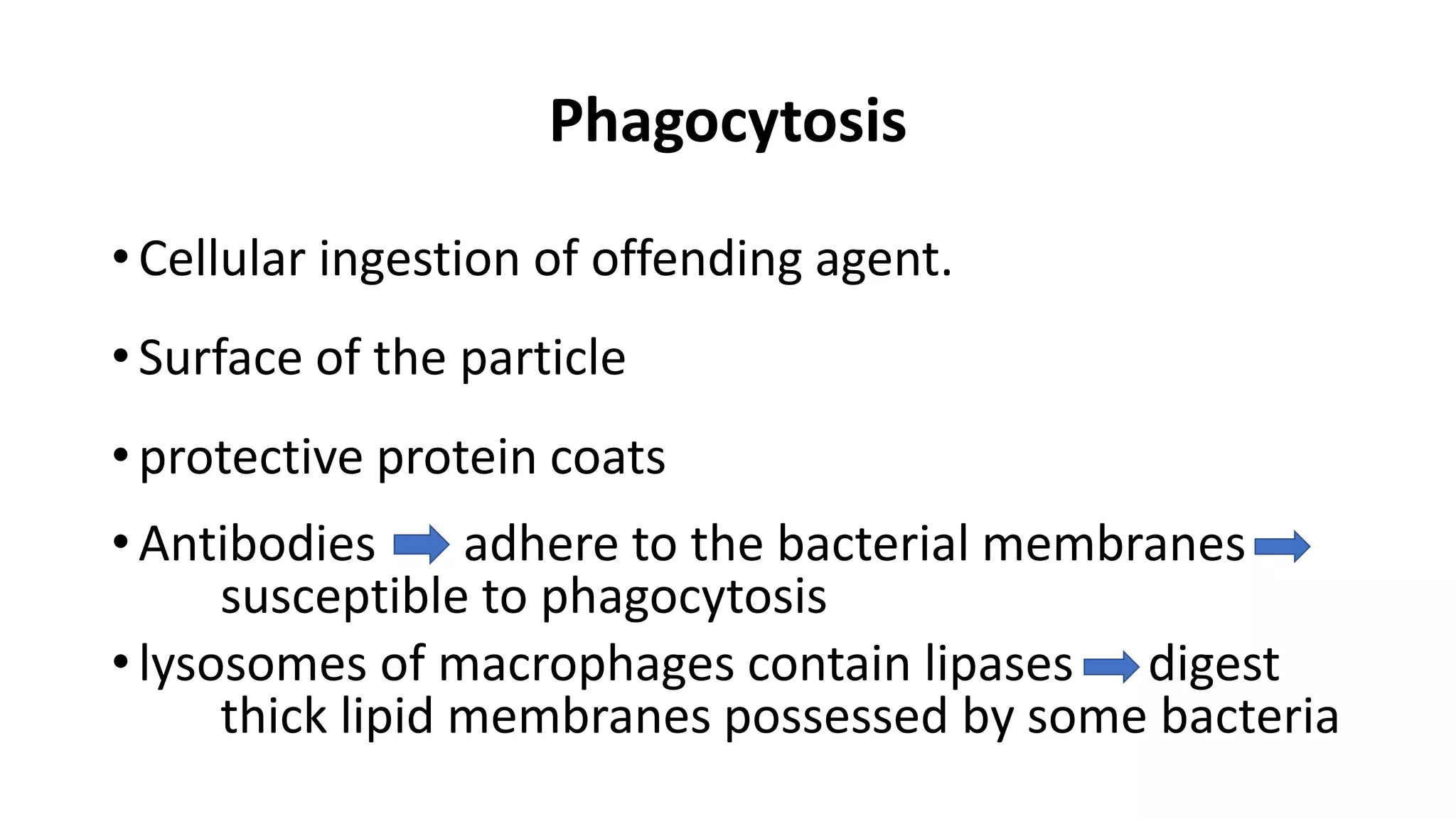 lymphoreticular system.pptx