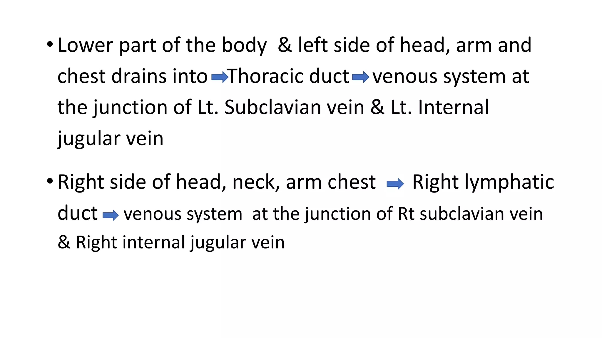 lymphoreticular system.pptx
