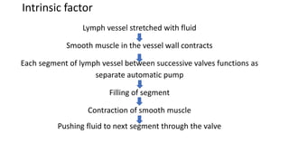lymphoreticular system.pptx