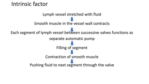 lymphoreticular system.pptx