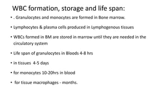 lymphoreticular system.pptx