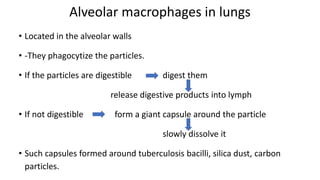 lymphoreticular system.pptx