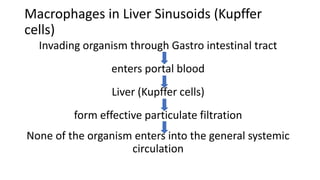 lymphoreticular system.pptx