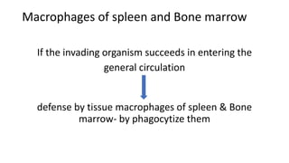 lymphoreticular system.pptx