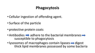 lymphoreticular system.pptx