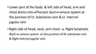 lymphoreticular system.pptx