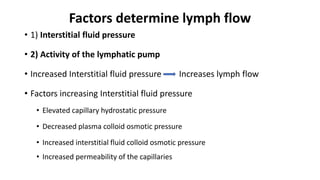 lymphoreticular system.pptx