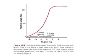 lymphoreticular system.pptx